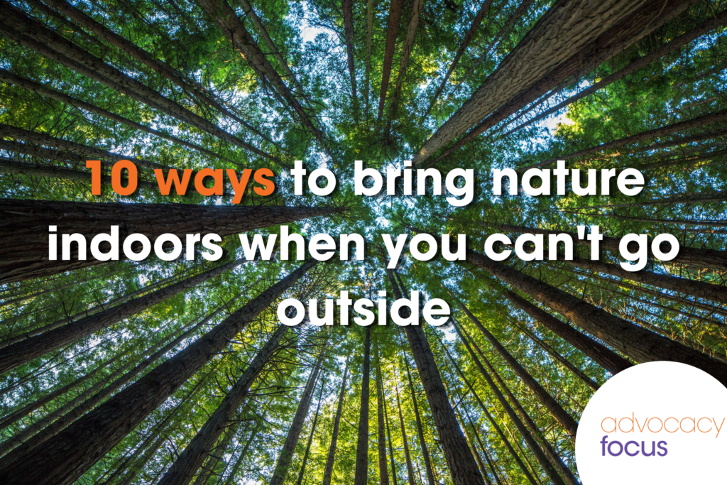 How to bring nature indoors when you can’t get outside - Advocacy Focus