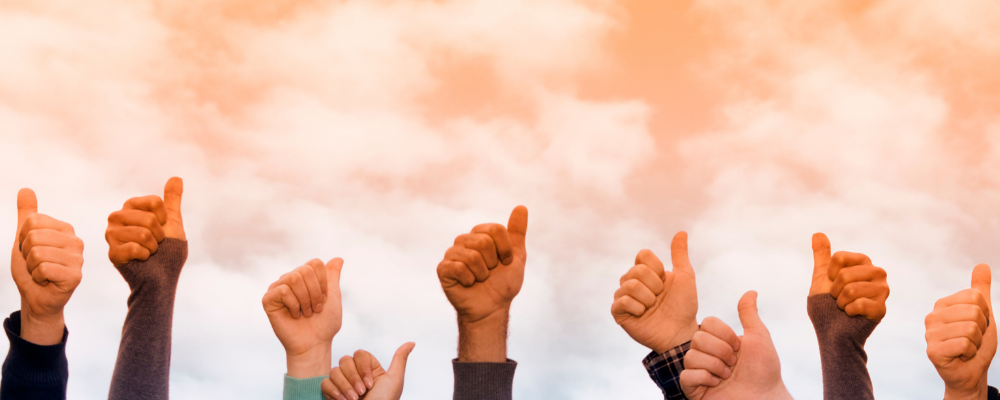 Campaigns We Support - Advocacy Focus